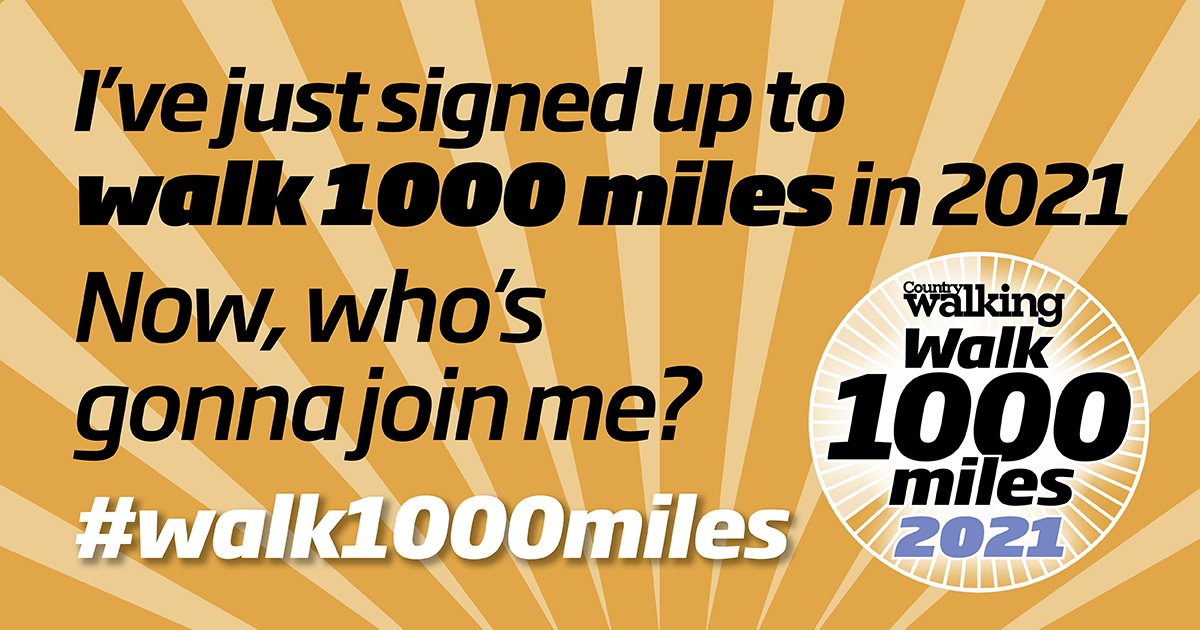 Walk1000Miles - My Virtual Mission