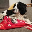 Hadrian's Wall Virtual Challenge - My Virtual Mission